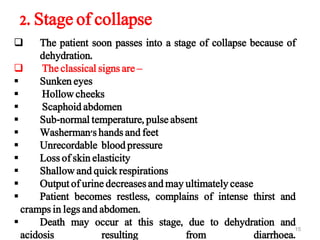 Epidemiology of Cholera | PDF