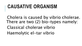CHOLERA.pptx
