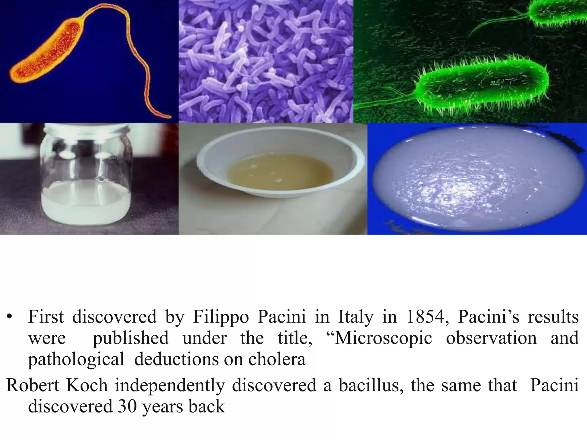 cholera.ppt