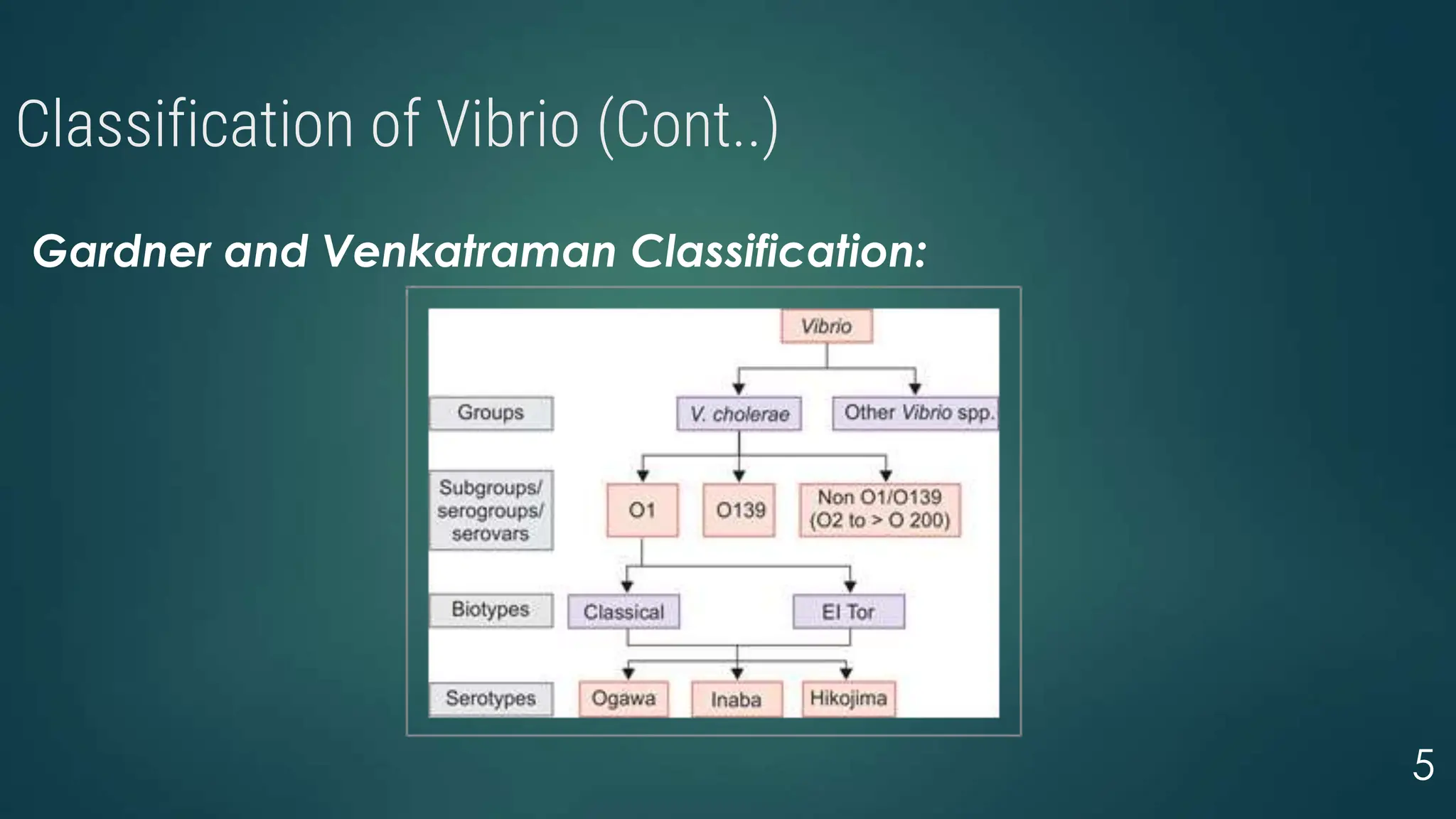 CHOLERA AND ITS CLINICAL FEATURE &LAB DIAGNOSIS .pptx