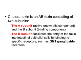 Cholera.pptx thankyousomuchoooooooooooooo | PPT