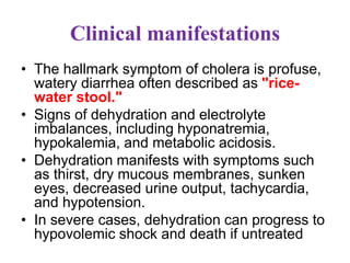 Cholera.pptx thankyousomuchoooooooooooooo | PPT