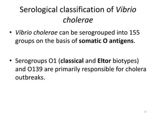 CHOLERA.Viral infection and its complication | PPTX