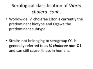 CHOLERA.Viral infection and its complication | PPTX