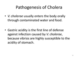 CHOLERA.Viral infection and its complication | PPTX