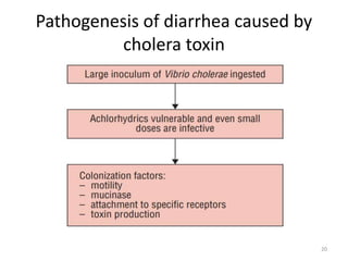 CHOLERA.Viral infection and its complication | PPTX