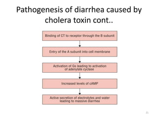 CHOLERA.Viral infection and its complication | PPTX