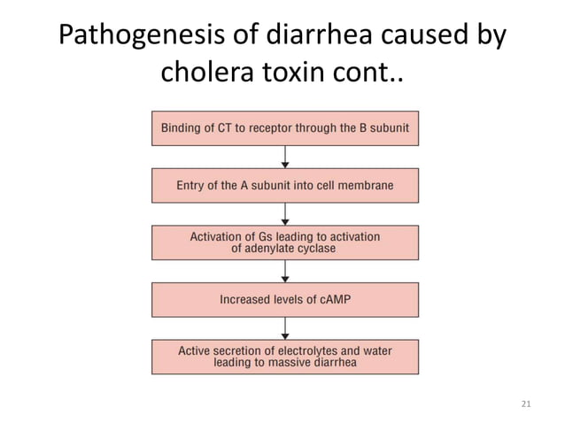 CHOLERA.Viral infection and its complication | PPTX | Digestive ...