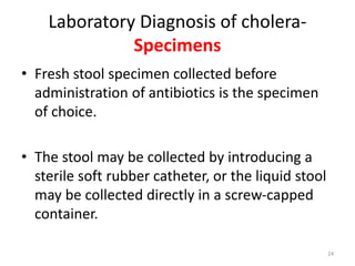CHOLERA.Viral infection and its complication | PPTX