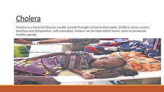 explore the cholera and discuss the causes of cholera , explain the ...