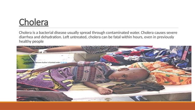 explore the cholera and discuss the causes of cholera , explain the pathophysiology of the ...