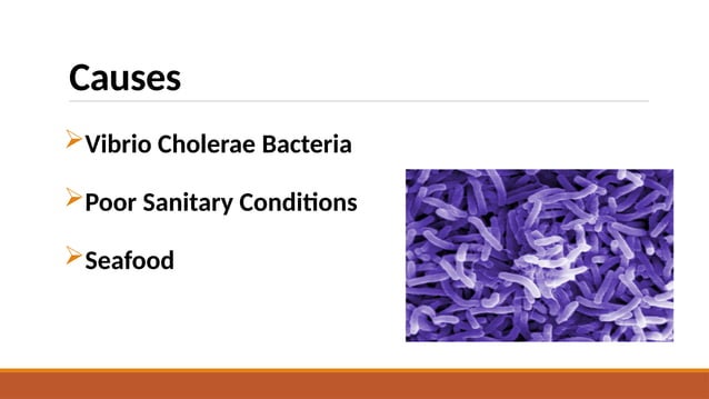 explore the cholera and discuss the causes of cholera , explain the ...