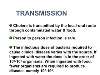 cholera disease symptoms causes treatment | PPT