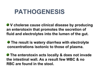cholera disease symptoms causes treatment | PPT