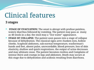 Cholera is a acute diaorhoel Disease.pptx