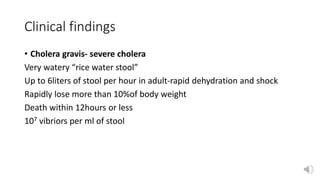 CHOLERA- July Update.pdf