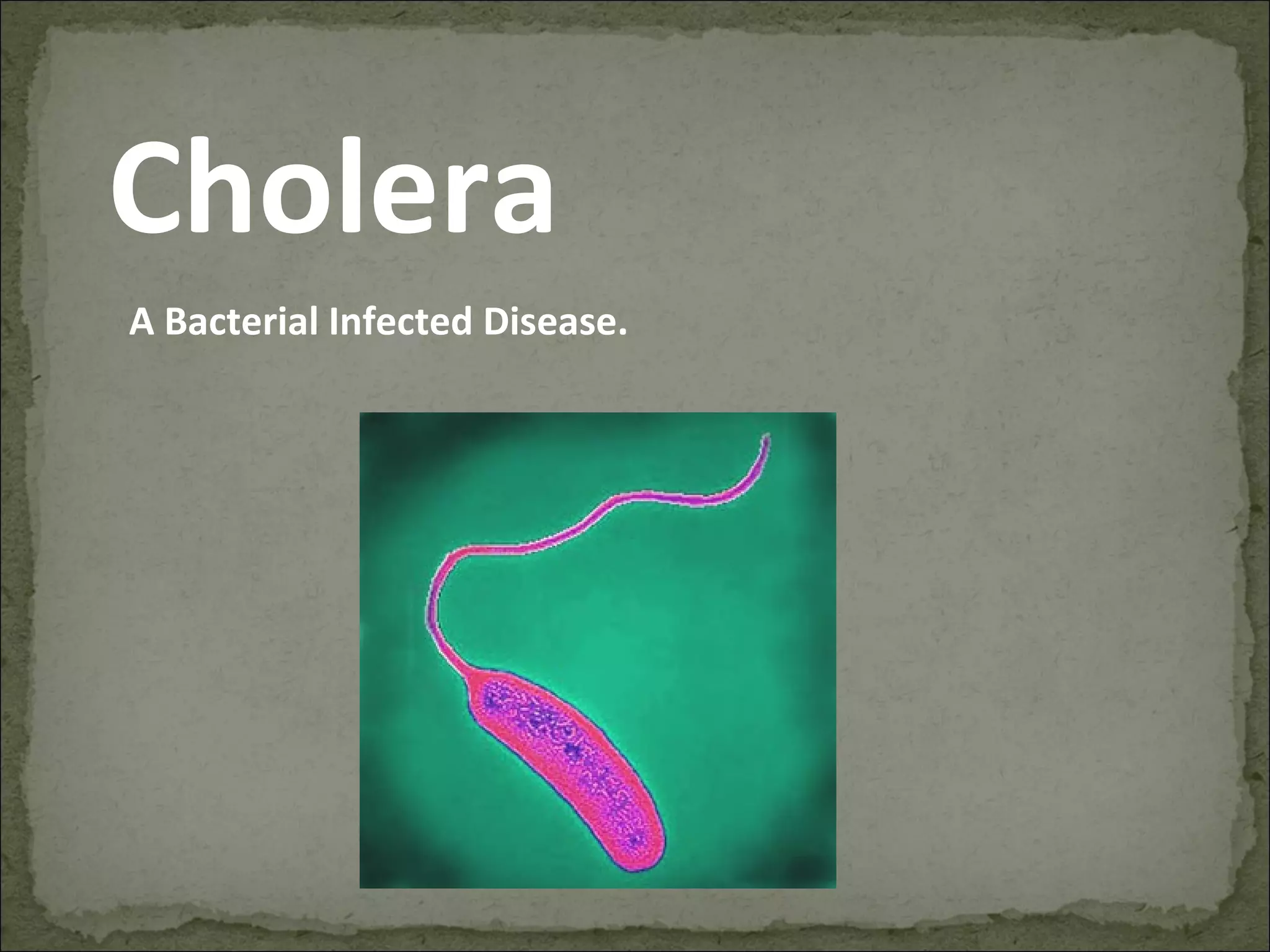 Cholera.ppt | Digestive Disorders | Diseases and Conditions