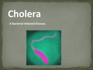 Cholera.ppt | Digestive Disorders | Diseases and Conditions