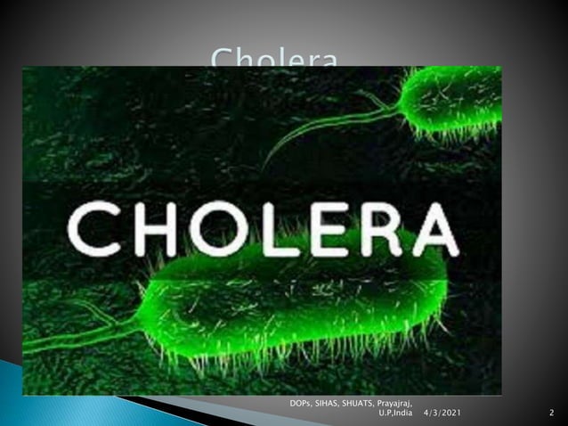 Cholera and SARS | PPT