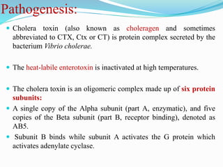 Cholera and streptococcus pneumoniae | PPT