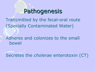 Cholera & bangladesh | PPT | Digestive Disorders | Diseases and Conditions