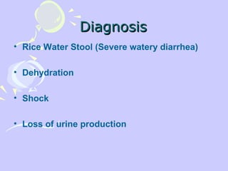 Cholera & bangladesh | PPT | Digestive Disorders | Diseases and Conditions