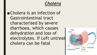 Cholera CHN causes and sign symptom, treatment | PPTX | Digestive ...