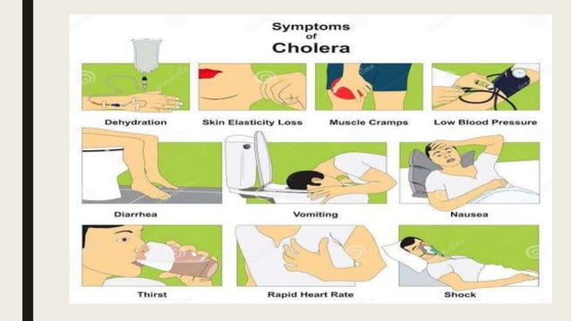 Cholera CHN causes and sign symptom, treatment | PPTX | Digestive ...