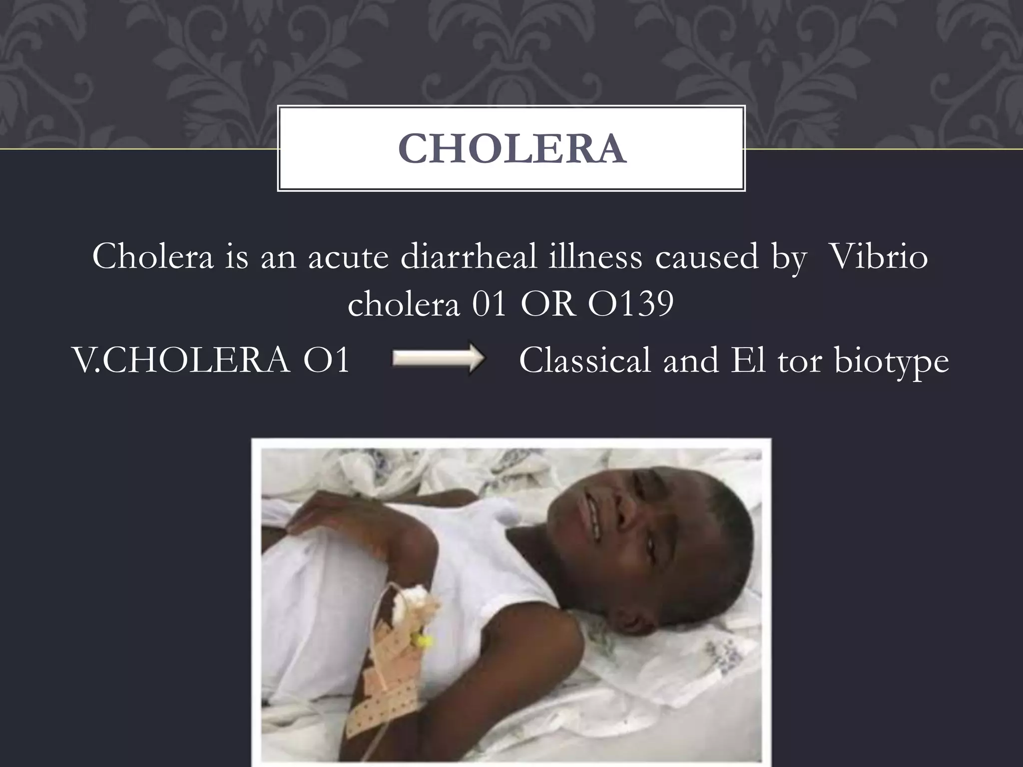 Cholera community medicine | PPTX