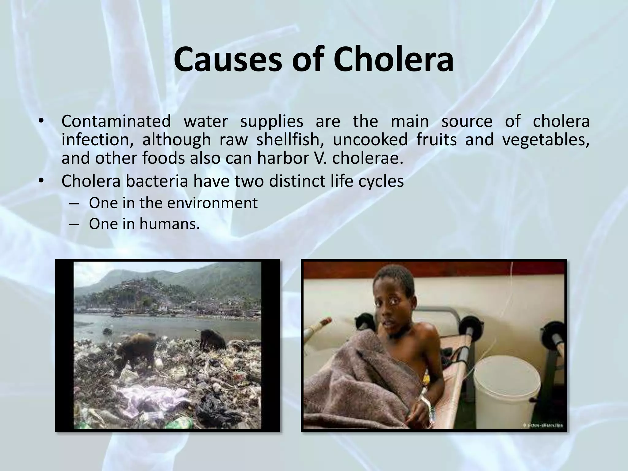 Cholera disease | PPTX