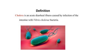Cholera Disease hya 2[1] [Read-Only].pptx