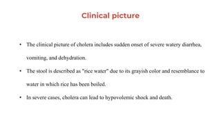 Cholera Disease hya 2[1] [Read-Only].pptx