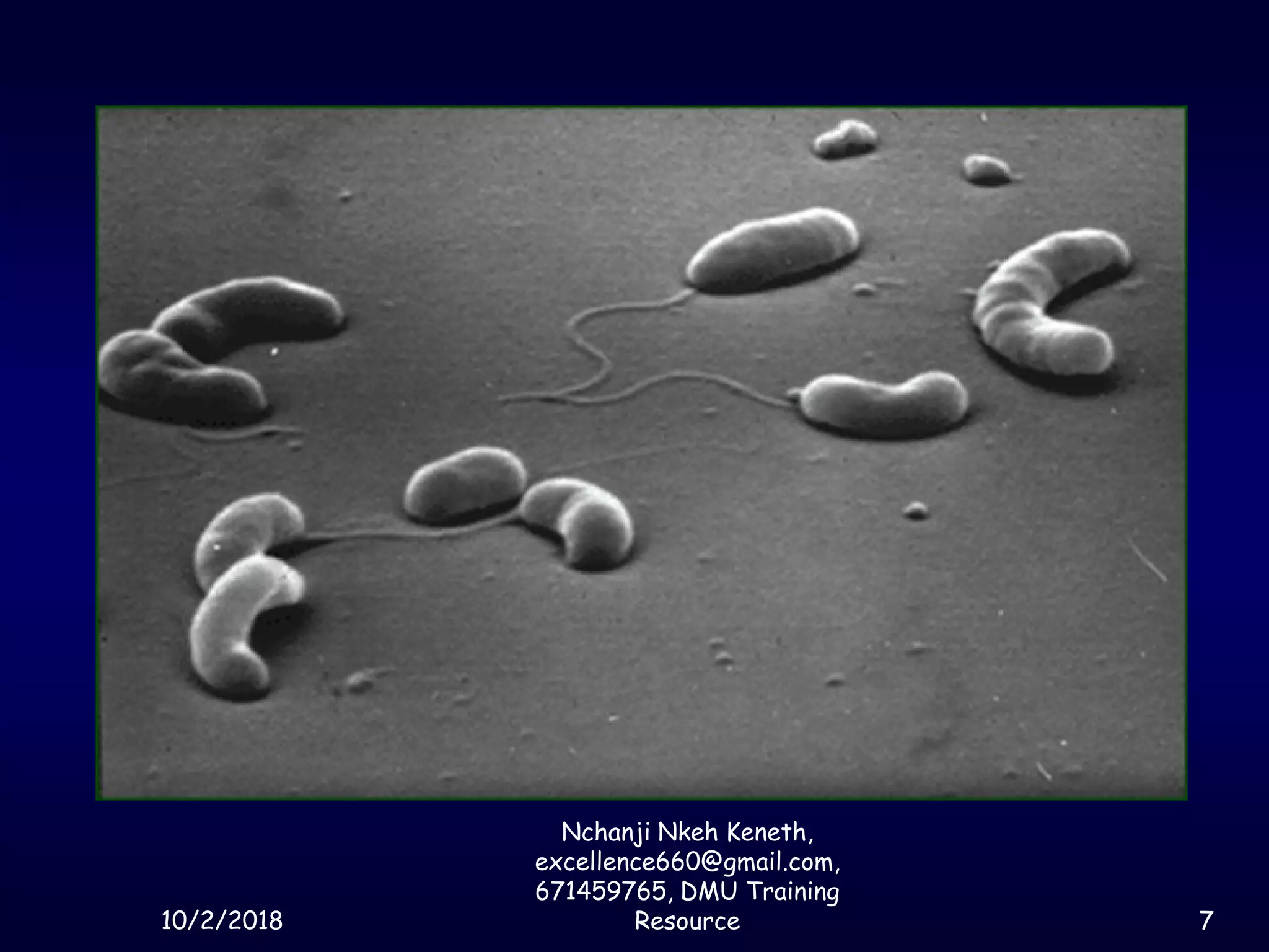Cholera factsheet . nchanji nkeh keneth | PPT