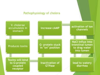 CHOLERA | PPTX