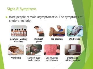 CHOLERA | PPTX