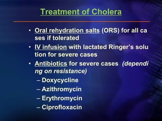 Cholera imu.pptx