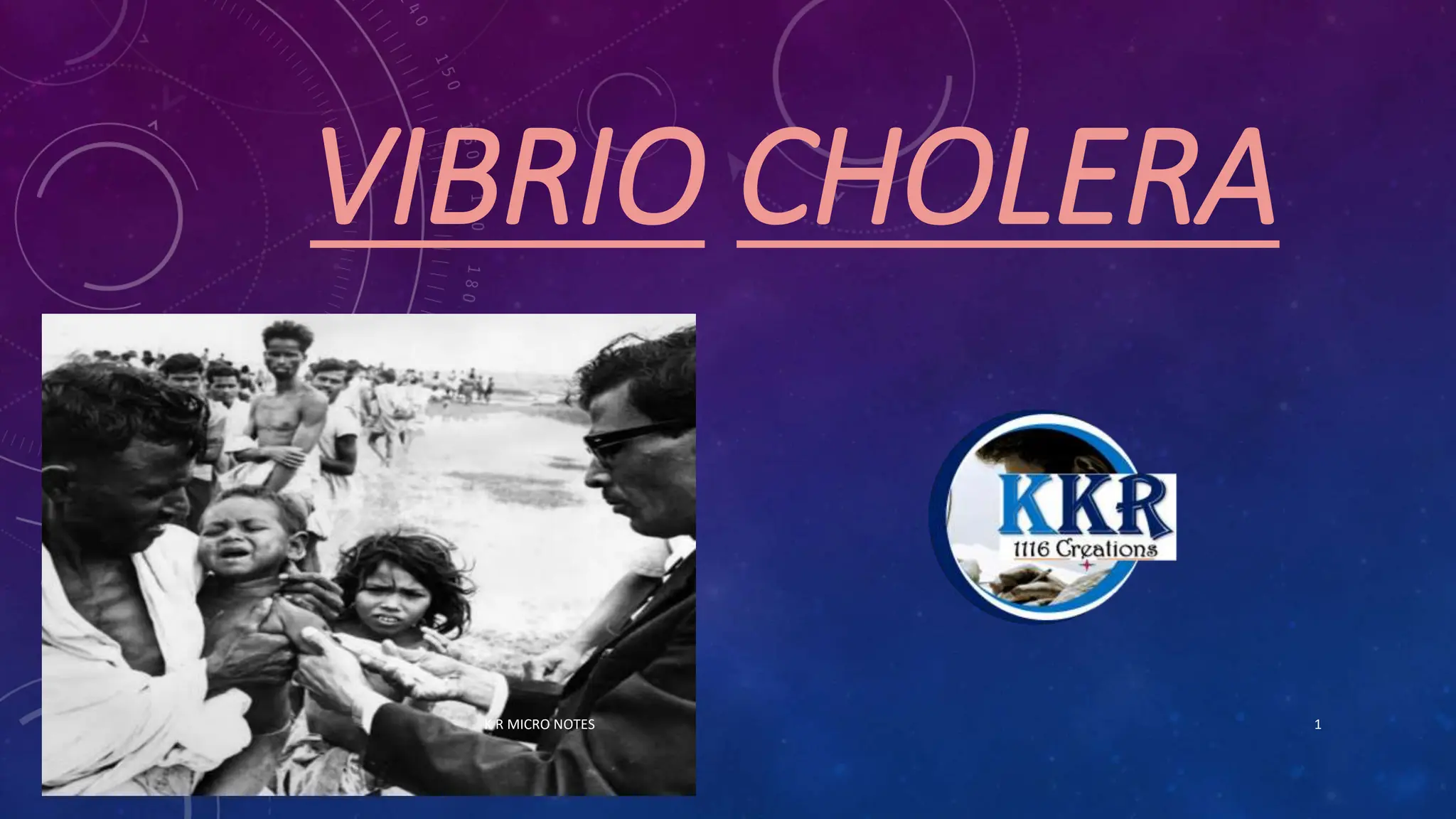 Vibrio cholera PATHOGENESIS K R.pptx