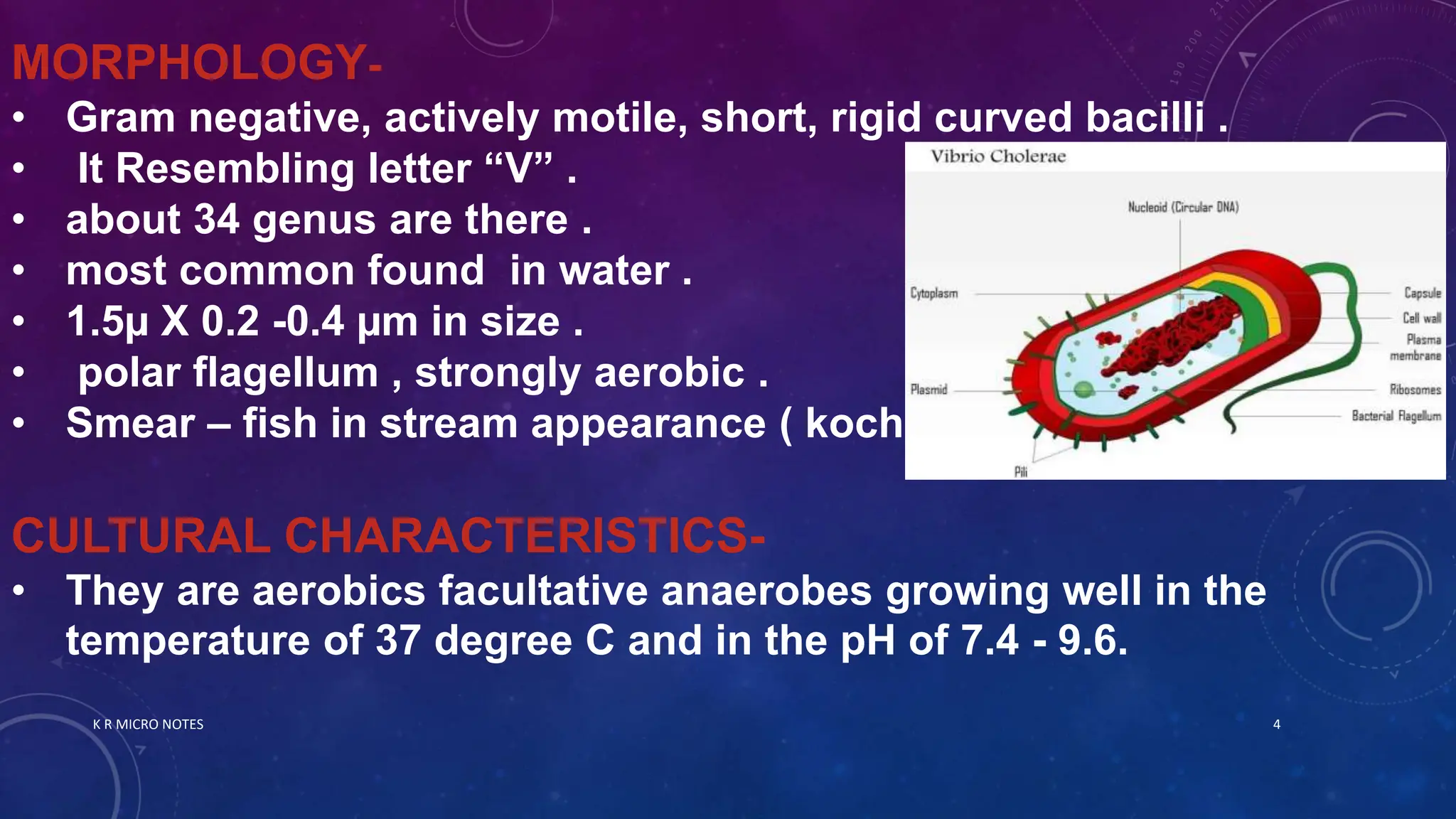 Vibrio cholera PATHOGENESIS K R.pptx