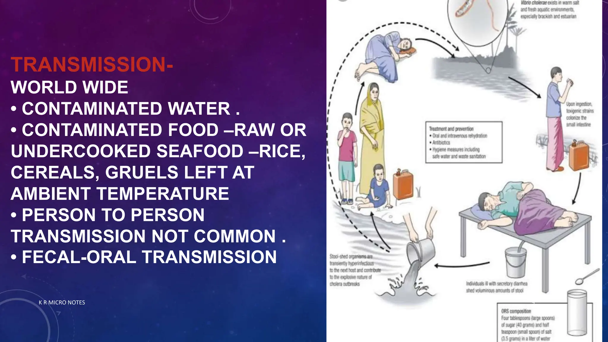 Vibrio cholera PATHOGENESIS K R.pptx