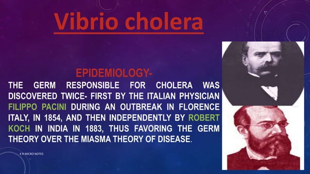 Vibrio cholera PATHOGENESIS K R.pptx | Infectious Diseases | Diseases ...