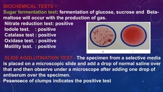 Vibrio cholera PATHOGENESIS K R.pptx