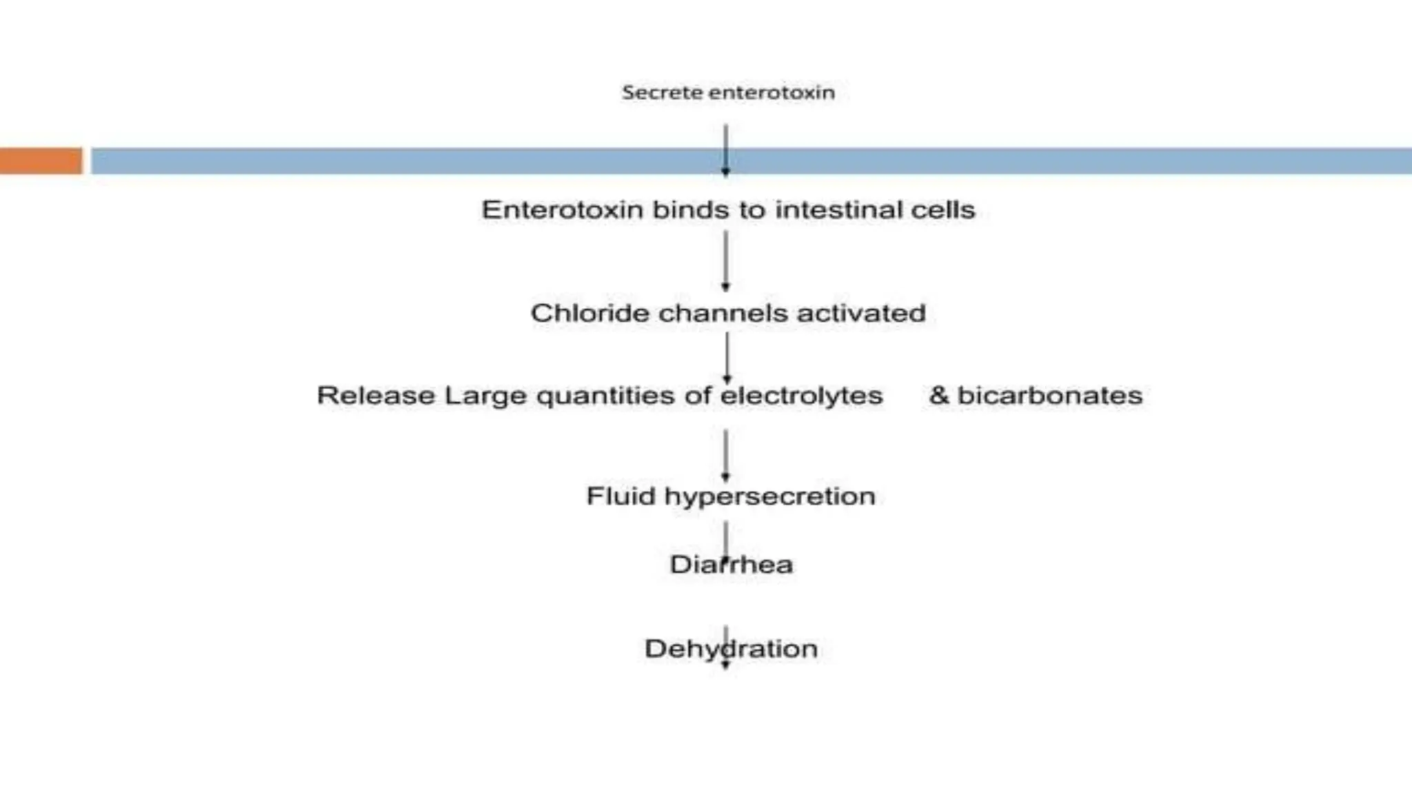 CHOLERA CLINICAL PROFILE, LABORATORY DIAGNOSIS AND MANAGEMENT ...