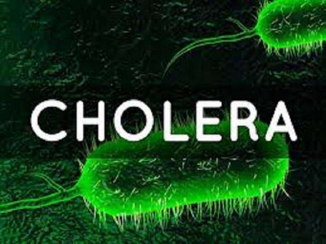 Cholera ppts | PPTX