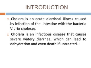 Cholera ppts | PPTX