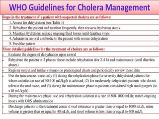 Cholera Treatment Antibiotics