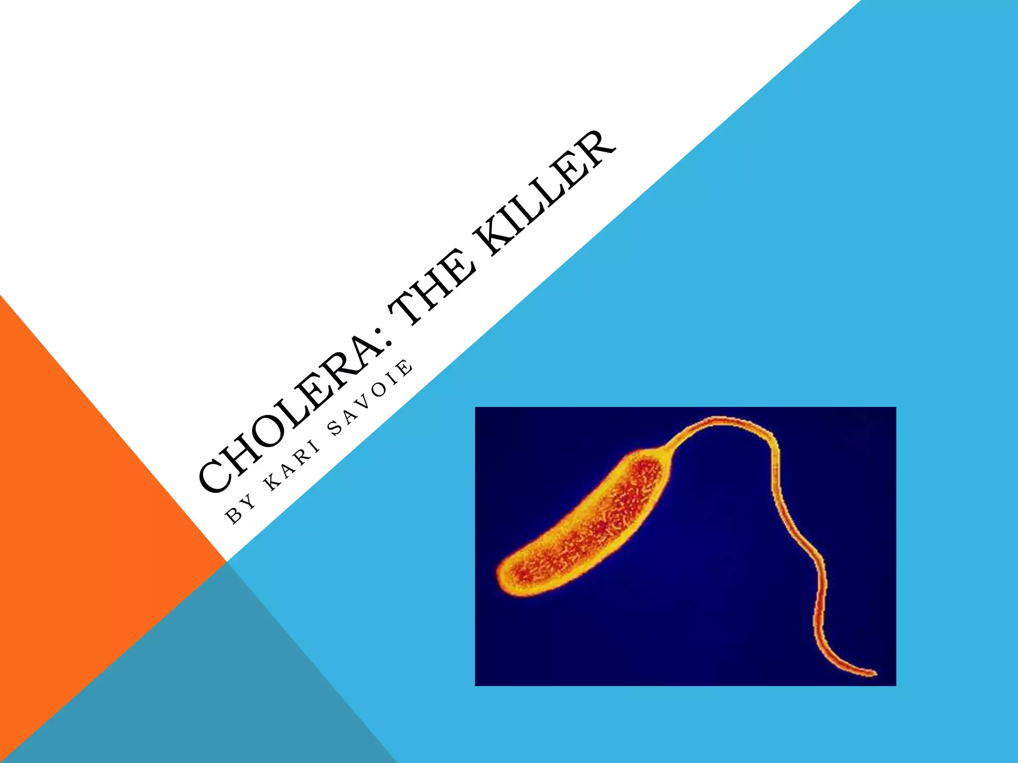 Cholera powerpoint | PPTX