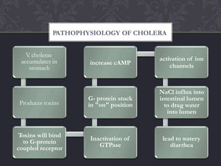 Cholera ppt | PPTX