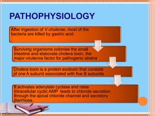 Cholera | PPTX
