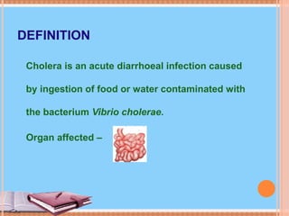 Cholera | PPTX