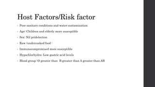 Cholera Presentation.pptx